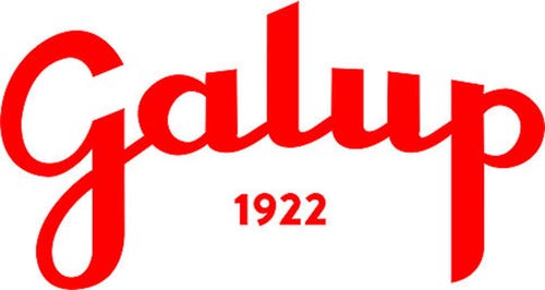 Galup - panettone and pastries with tradition - Piccantino Online Shop ...